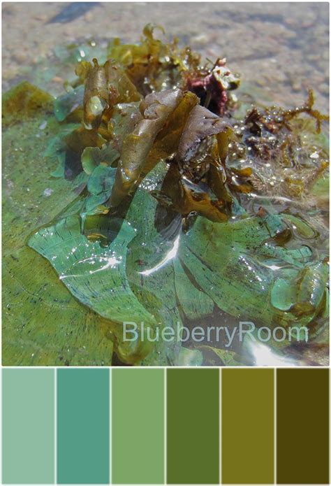 Vibrant Contemporary Art And Print Designs Teal Color Palette Green