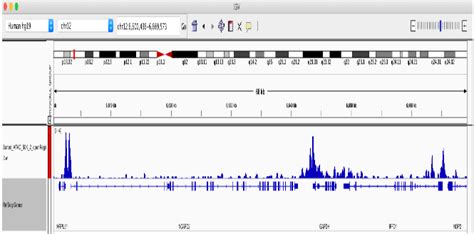 Atac Seq分析：数据处理（5）seq数据处理 Csdn博客