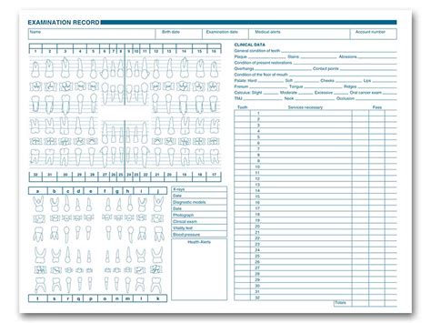 Full Mouth Periodontal Charting Forms 24 Periodontics Pocket