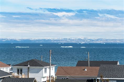 그린 아일랜드 코브와 세인트 로렌스 만 뉴펀들랜드 래브라도 캐나다의 빙산 0명에 대한 스톡 사진 및 기타 이미지 0명 경관 극지 기후 Istock