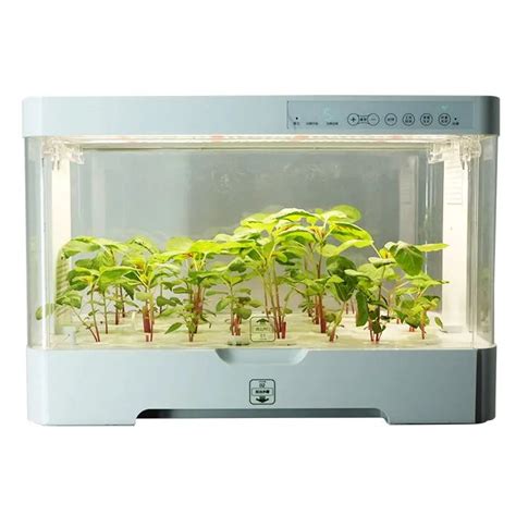 Home And Garden Smart Grow Box Effortless Indoor Gardening With Smart