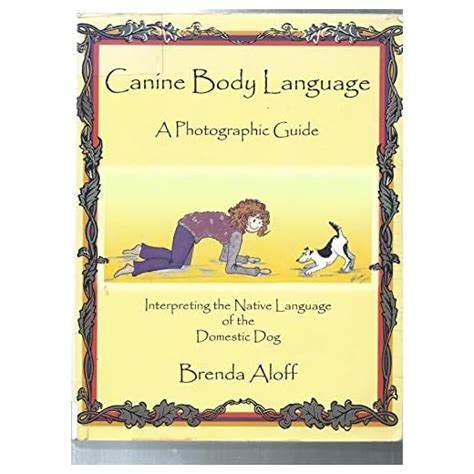 How To Train Your Dog For Sex Life My Dog