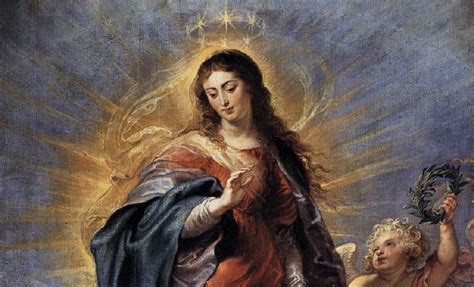 Understanding The Immaculate Conception Simply Catholic