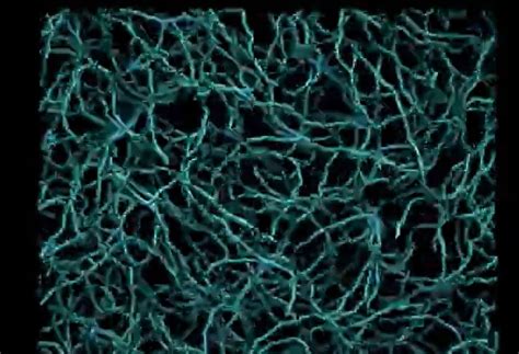 Scientists Unveil Innovative Machine Learning Technique For Modeling Chemical Reactions R