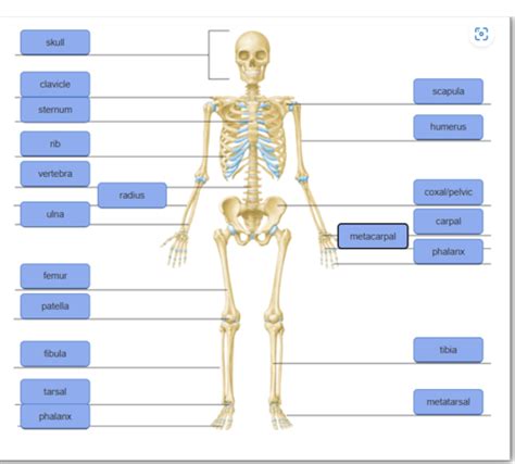 Ch 5 Lab Hw Flashcards Quizlet