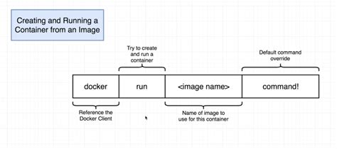 Run Docker Container And Override Default Values Codez Up
