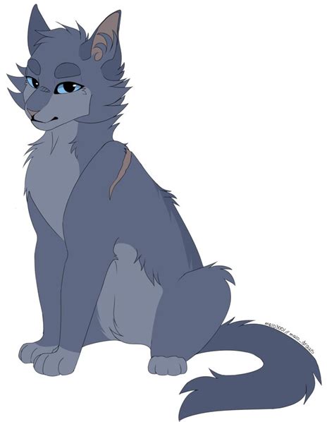 Warrior Cat Drawings Bluestar