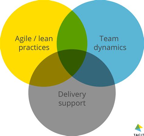 Aspects Of The Delivery Manager Role Emily Webber