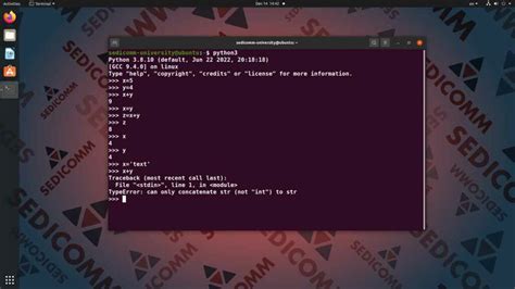 Основы Python для программируемых сетей и систем — выполнение программ