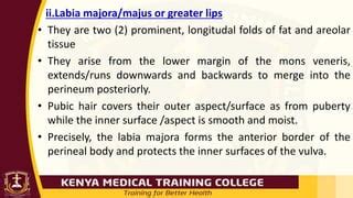Female Reproductive System Int And Ext Genitaliapdf