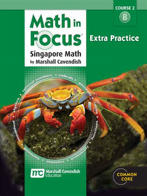 2b Extra Practice Pdf