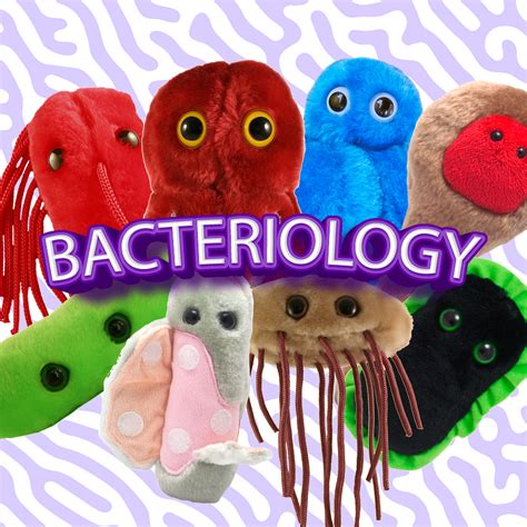 Bacteriology — Giant Microbes Australia