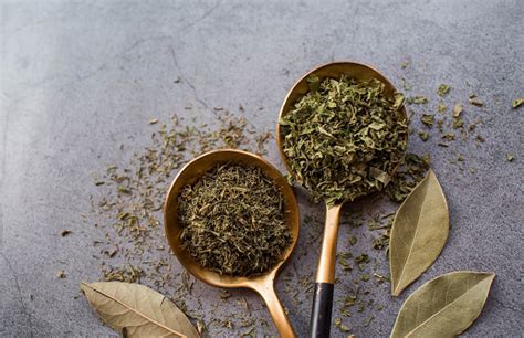 향기로운 향신료 회색 배경에 말린 파슬리 딜 로즈마리 마늘 월계수 잎 여유 공간 0명에 대한 스톡 사진 및 기타 이미지 Istock