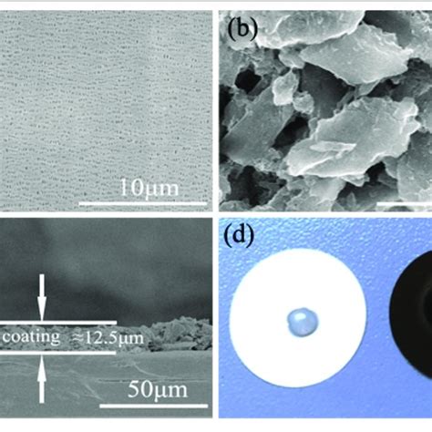 Polysulfide Diffusion Test Of Pristine Separator Ac Separator And Download Scientific