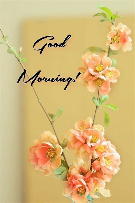 Good Morning Flowers  Floral Good Morning Card Day Greetings
