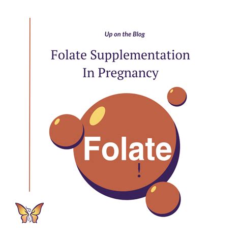 Folate Supplementation Denver Fertility Care Folate Supplementation