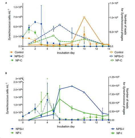 Comparison Between The Timing Of Synechococcus Cell Abundances Cells