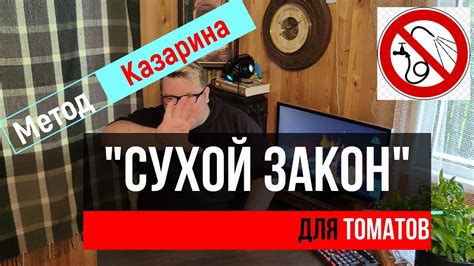 Сухой закон для томатов Метод Казарина Youtube