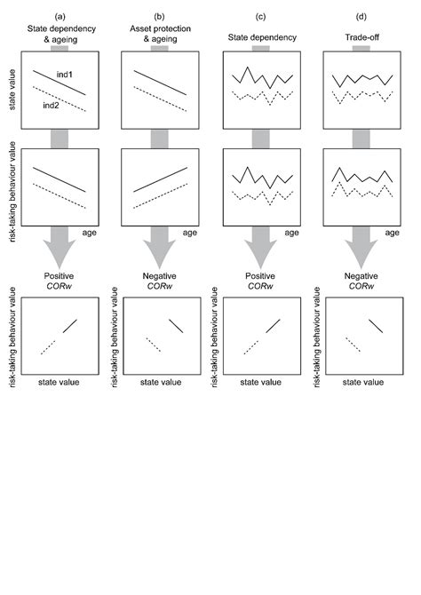Age Related Plasticity Integration In Male Cicadas Tettigetta Isshikii Authorea