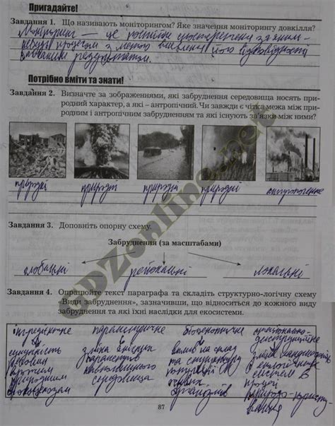 ГДЗ Робочий зошит з біології і екології 11 клас Мирна