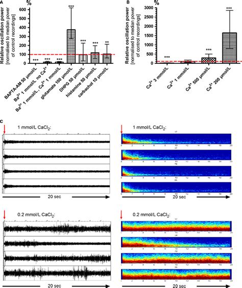 High Frequency Oscillations Are Strongly Dependent On Calcium A Hfos Download Scientific