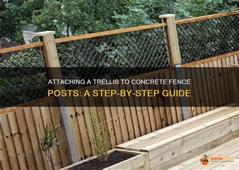 Attaching A Trellis To Concrete Fence Posts A Step By Step Guide ShunTool