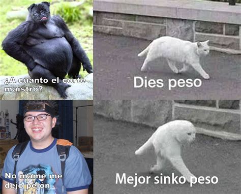 Pugrillakus Meme Subido Por Elflacoman Memedroid