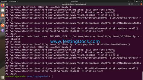 How To Fix Slim Application Error In Testlink 2024
