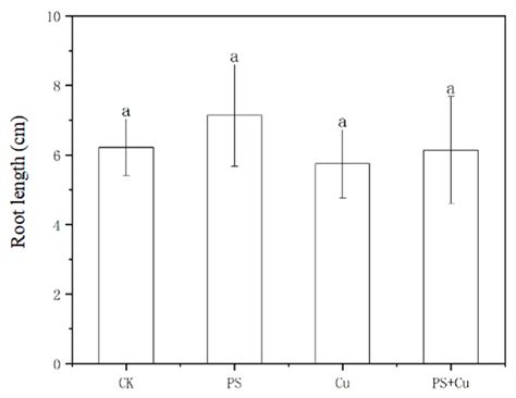 The Effects Of Polystyrene Microplastics And Copper Ion Co