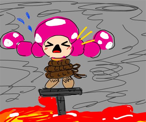 Toadette In Trouble Drawception Toadette In Trouble Drawception