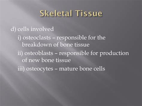Ppt Skeletal Tissue Powerpoint Presentation Free Download Id 1973583