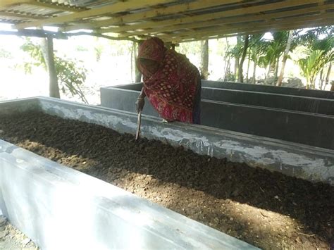 Himadree Shekhar On Linkedin Carebangladesh Vermicompost Climateadaptation Coastalresilience