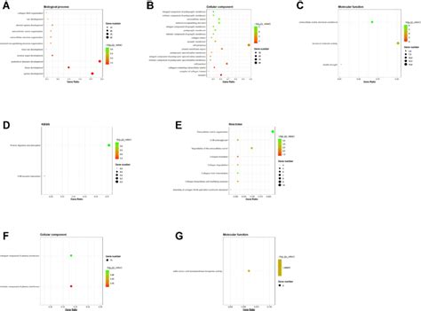 Functional Annotation Analysis Of Common Degs A The Go Annotation Of