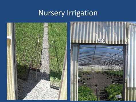 PPT Greenhouse Nursery Irrigation PowerPoint Presentation Free Download ID