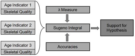 Flow Chart Illustrating How And What Information Is Used For The Sugeno Download Scientific