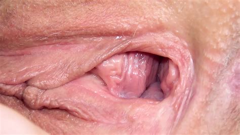 Free Vagina Pussy Porn Videos Xhamster