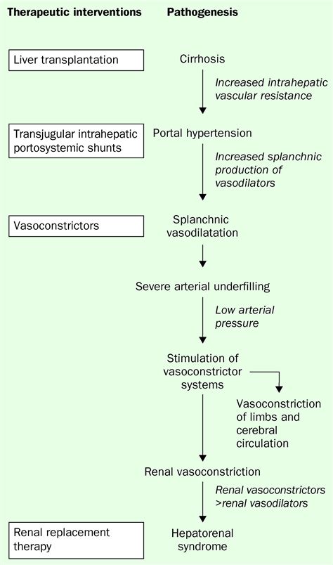 Vasoconstriction Therapy The Best Information Blog