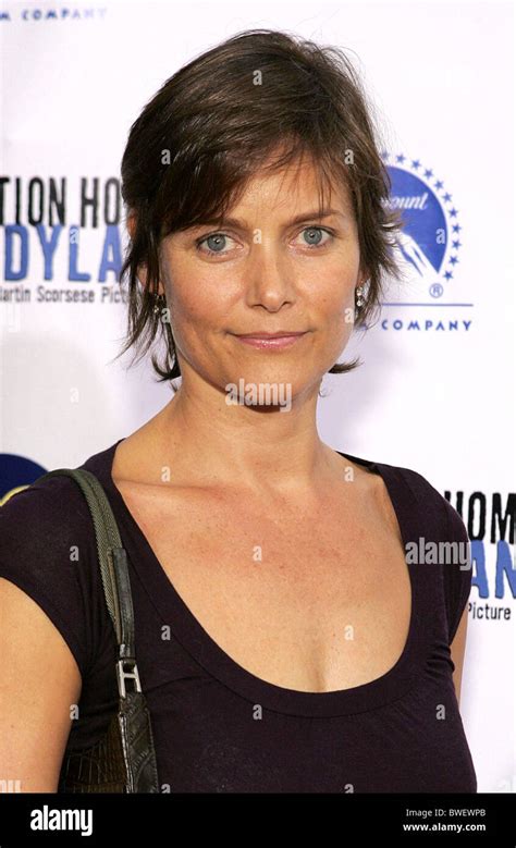 Bob Dillons Instagram Twitter And Facebook On Idcrawl