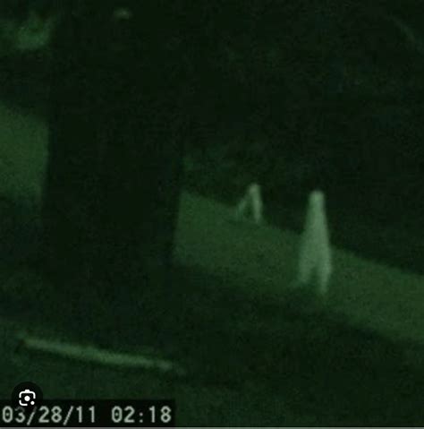 Fresno Nightcrawler The Silent Paranormal Walker