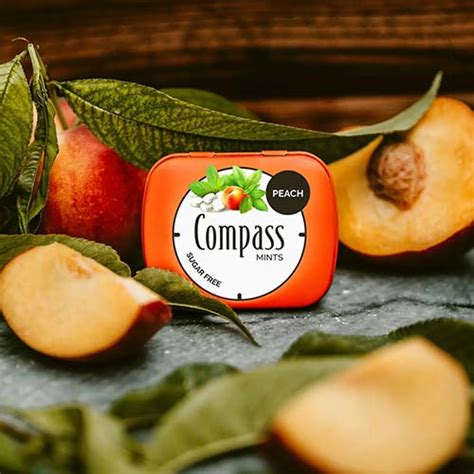 Food And Fruits Compass Peach Mint Sugar Free