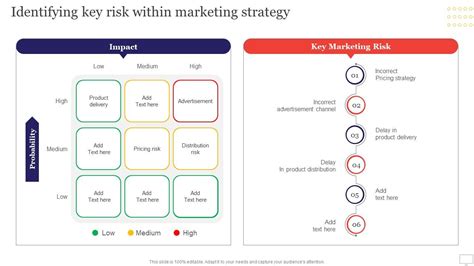Target Audience Strategy For B2b And B2c Business Identifying Key Risk