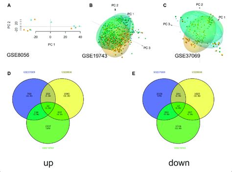 Principal Component Analysis And Venn Plots Of Degs A Pca Results