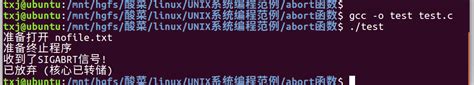 abort函数 csdn博客