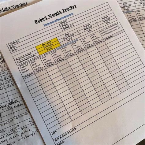 Meat Rabbit Weight Chart Free Download Meat Rabbits