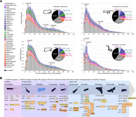 Figure 3 From A Ghost Moth Olfactory Prototype Of The Lepidopteran Munication Semantic