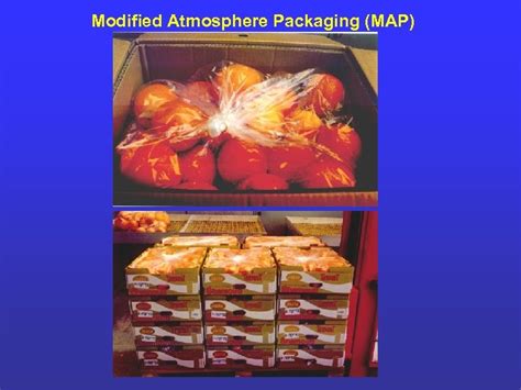 Controlled Atmosphere And Modified Atmosphere Storage Dr Ron