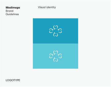 Medical Loqo Brand Identity Behance