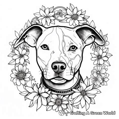 Pitbull Coloring Pages Free And Printable