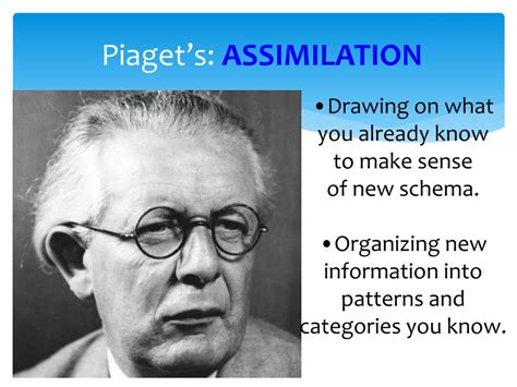 PPT PIAGET Information Processing Theories PowerPoint Presentation Free Download ID 2638148