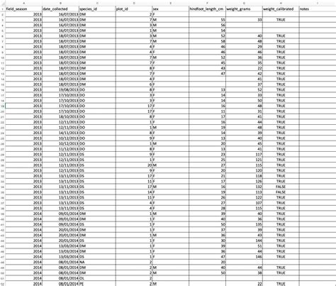 common spreadsheet errors best practices in data organisation using
